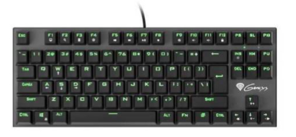 GENESIS THOR 300 TKL Mechanical Gaming Keyboard - Green Backlight, Blu ...